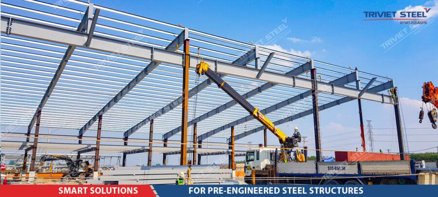 FACTORY STEEL STRUCTURE ERECTION - Nhà Thép Trí Việt
