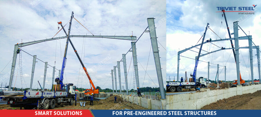 FACTORY STEEL STRUCTURE ERECTION - Nhà Thép Trí Việt